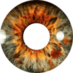 Ora Clinical - Leading Ophthalmic CRO